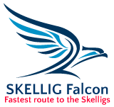 Home - Gallery: Skellig Falcon
